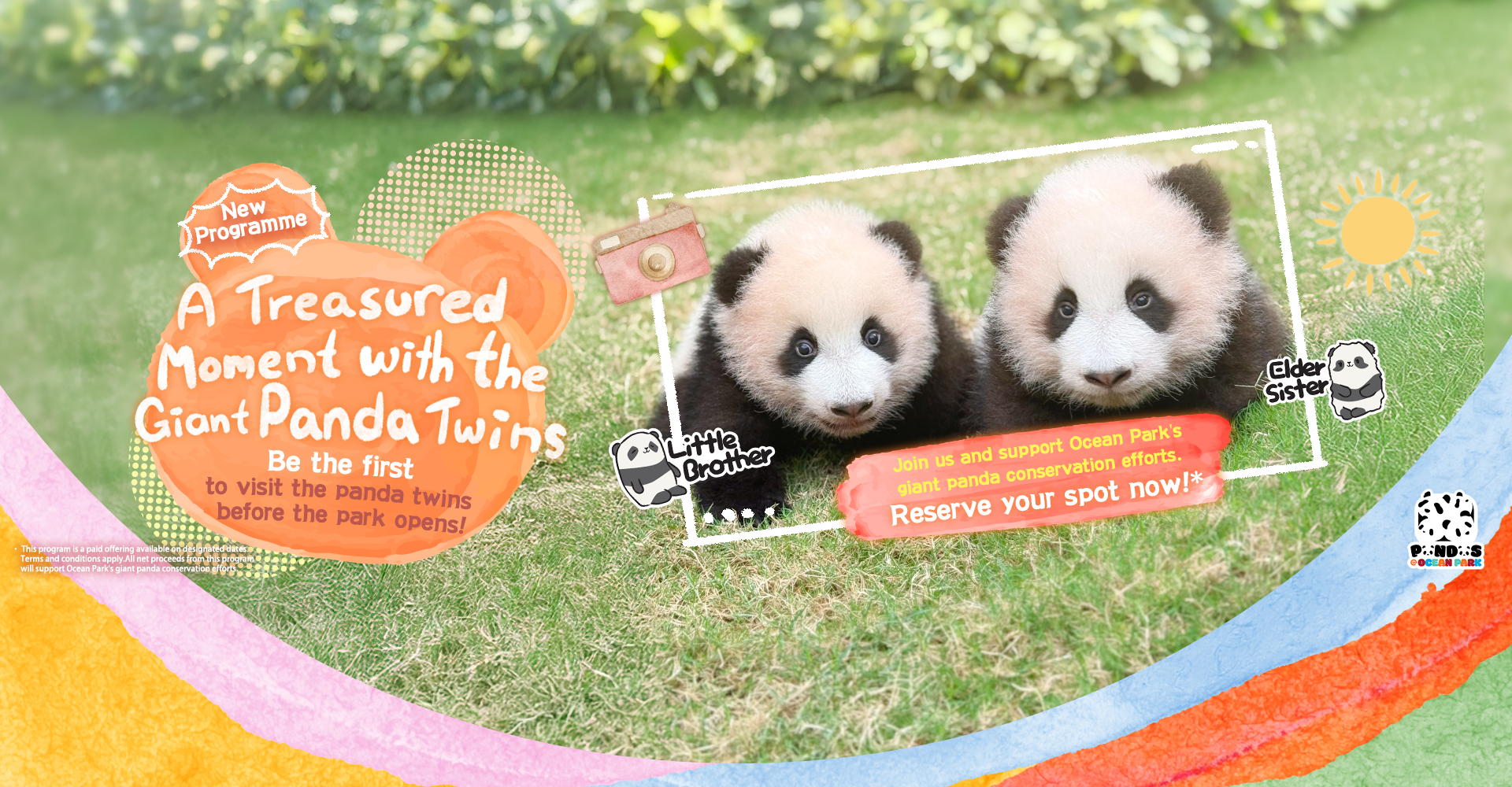 A Treasured Moment with the Giant Panda Twins | Ocean Park Hong Kong